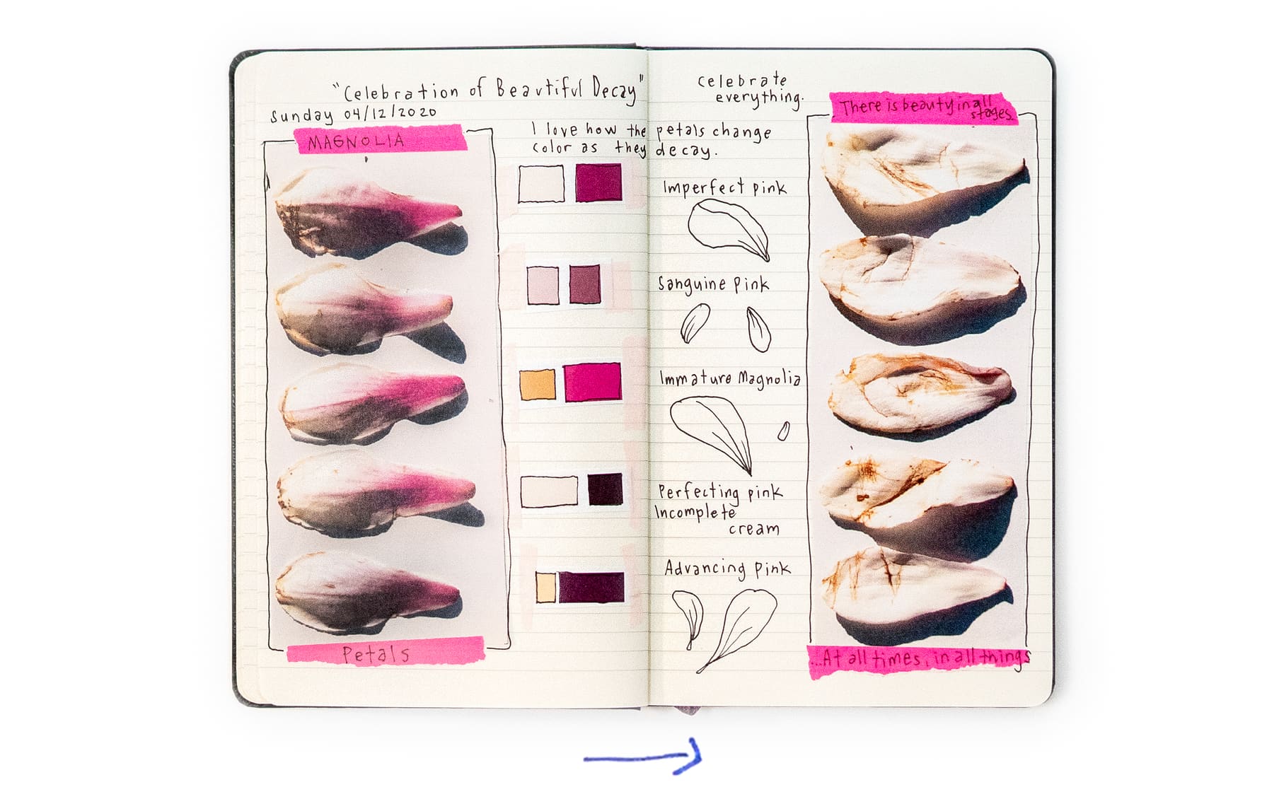 Hands On: How to Keep a Colour Journal. Nike ZA