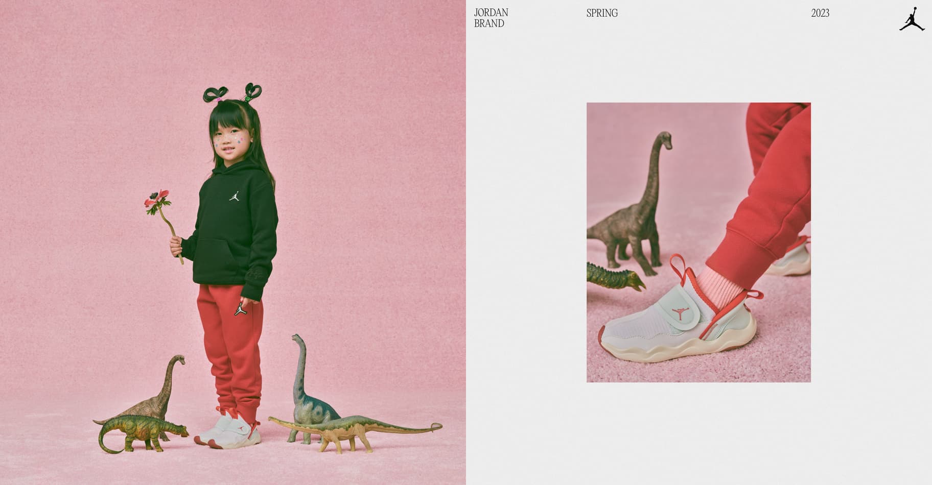 Marka Jordan. Nike PL