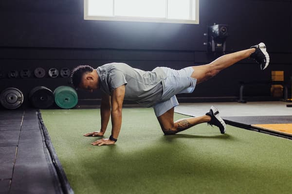 Why You Should Add the Bird Dog Exercise to Your Workout Routine ...