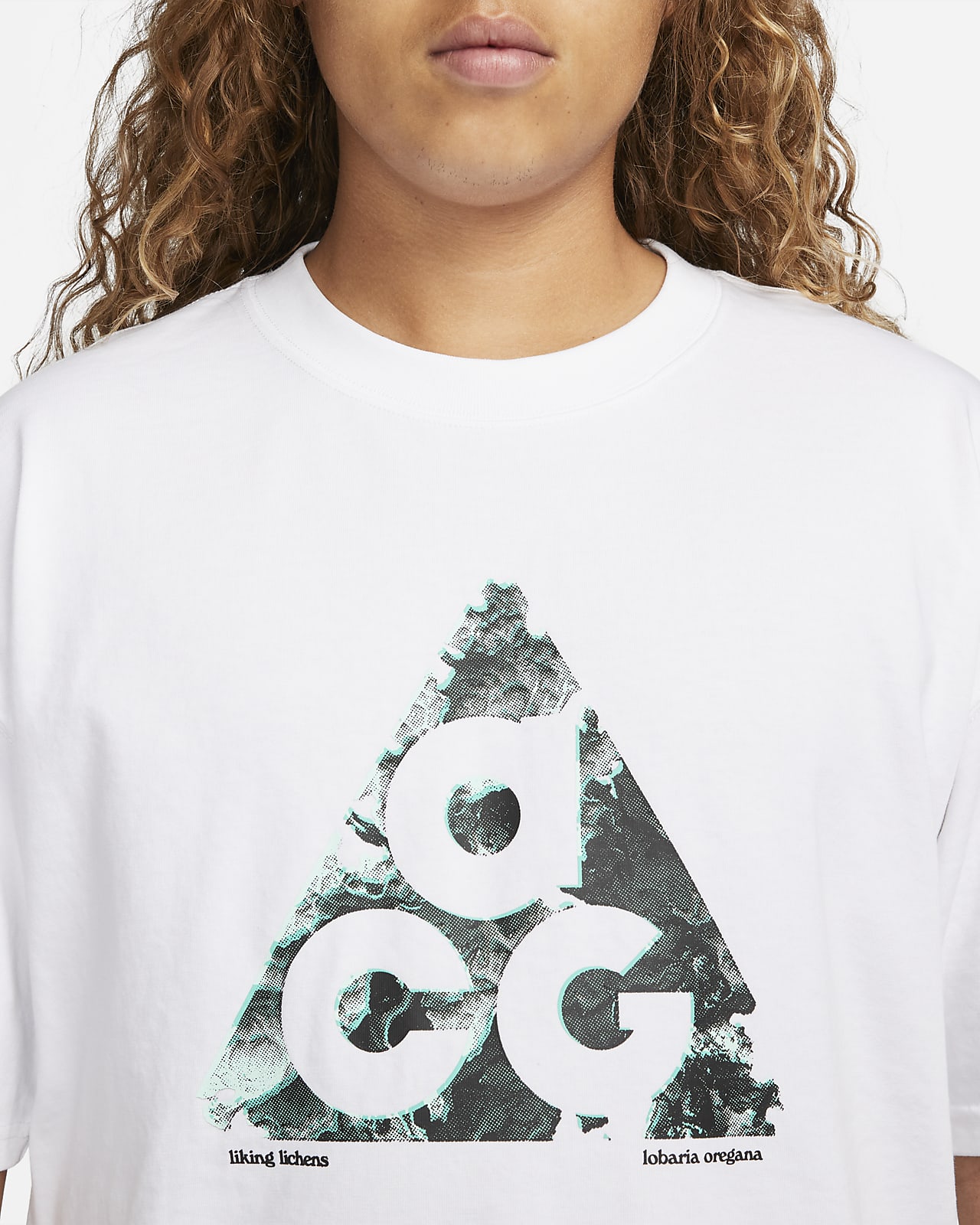 Nike ACG Men's T-Shirt. Nike PT