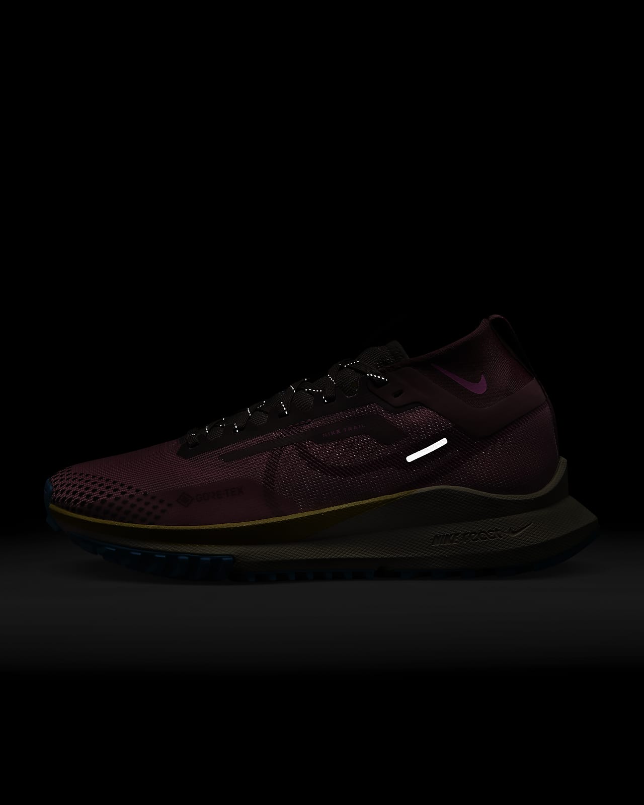 Terränglöparsko Nike Pegasus Trail 4 GORE-TEX Weatherized för kvinnor ...