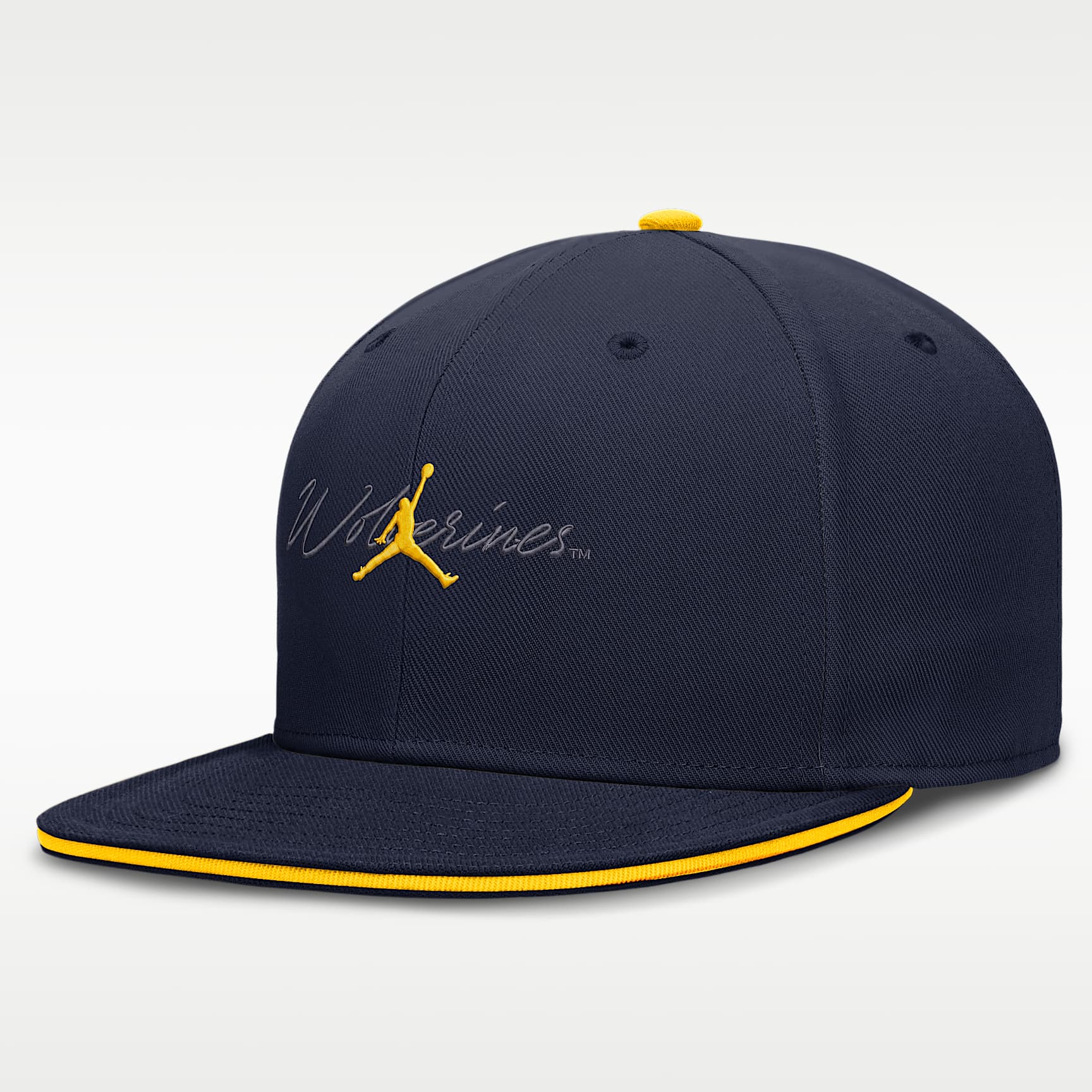 Michigan Pro Men's Jordan Brand Dri-FIT College Fitted Hat. Nike.com