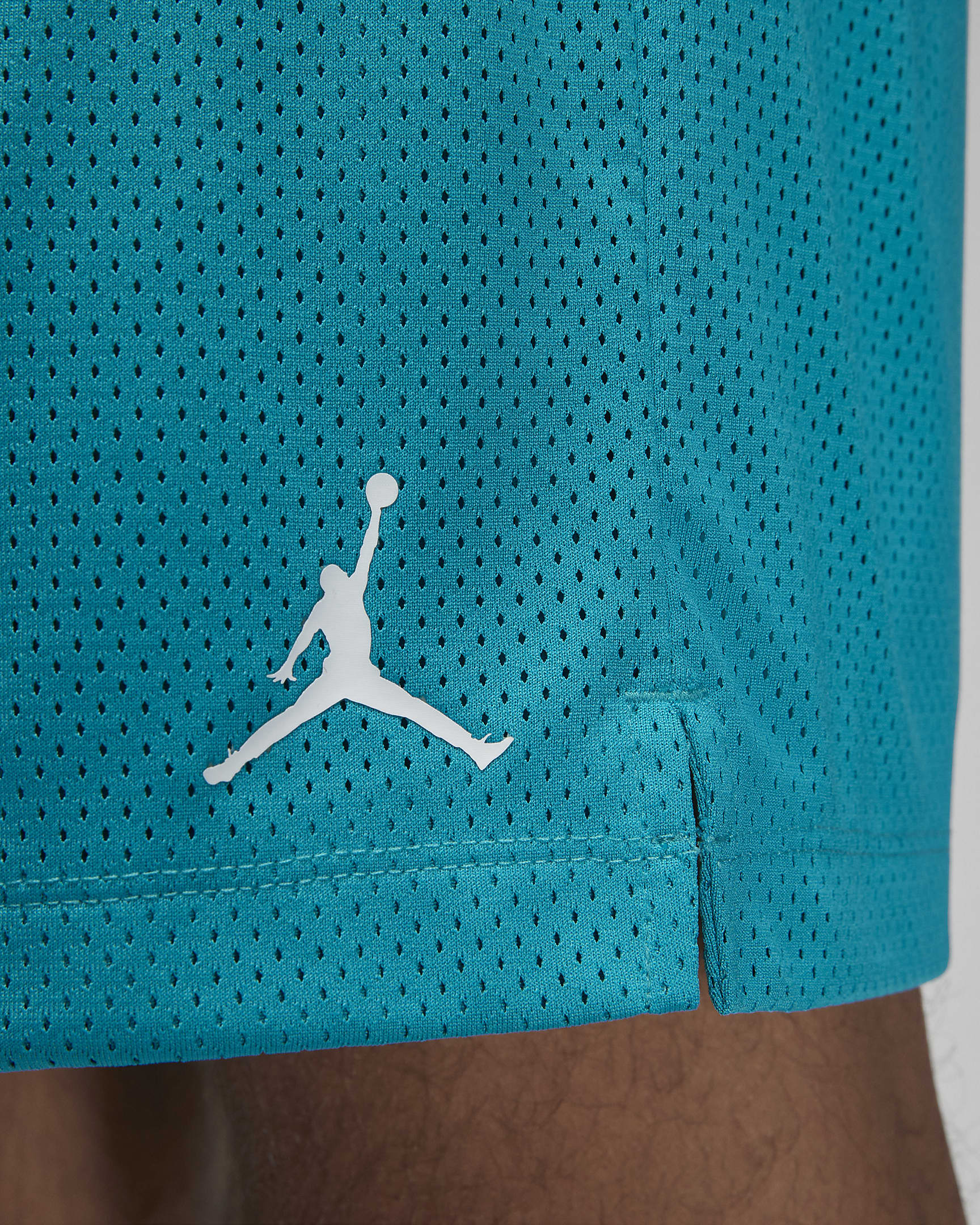 Jordan Essentials Men's Graphic Mesh Shorts. Nike SE