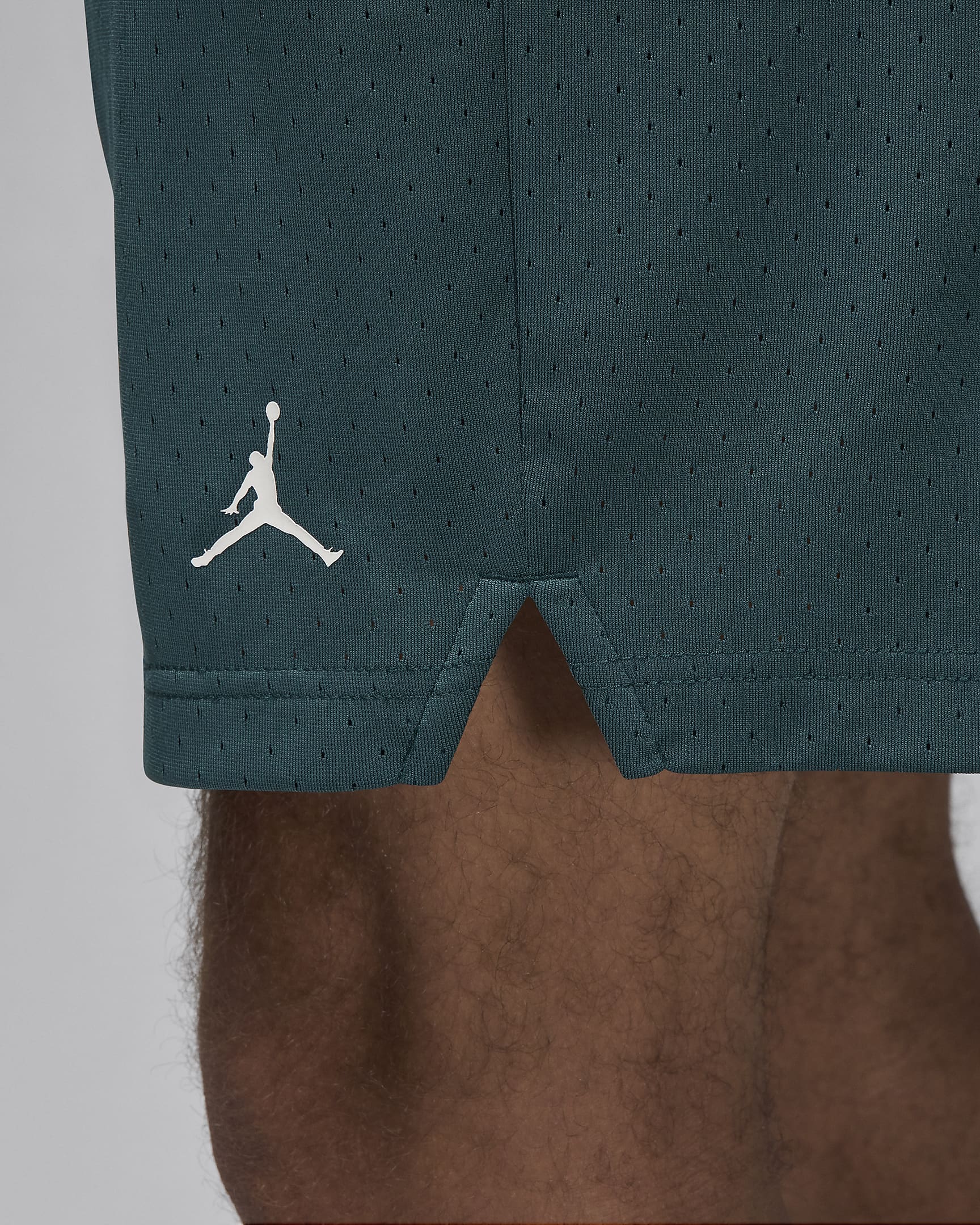 Jordan Sport Men's Dri-FIT Mesh Shorts. Nike CH