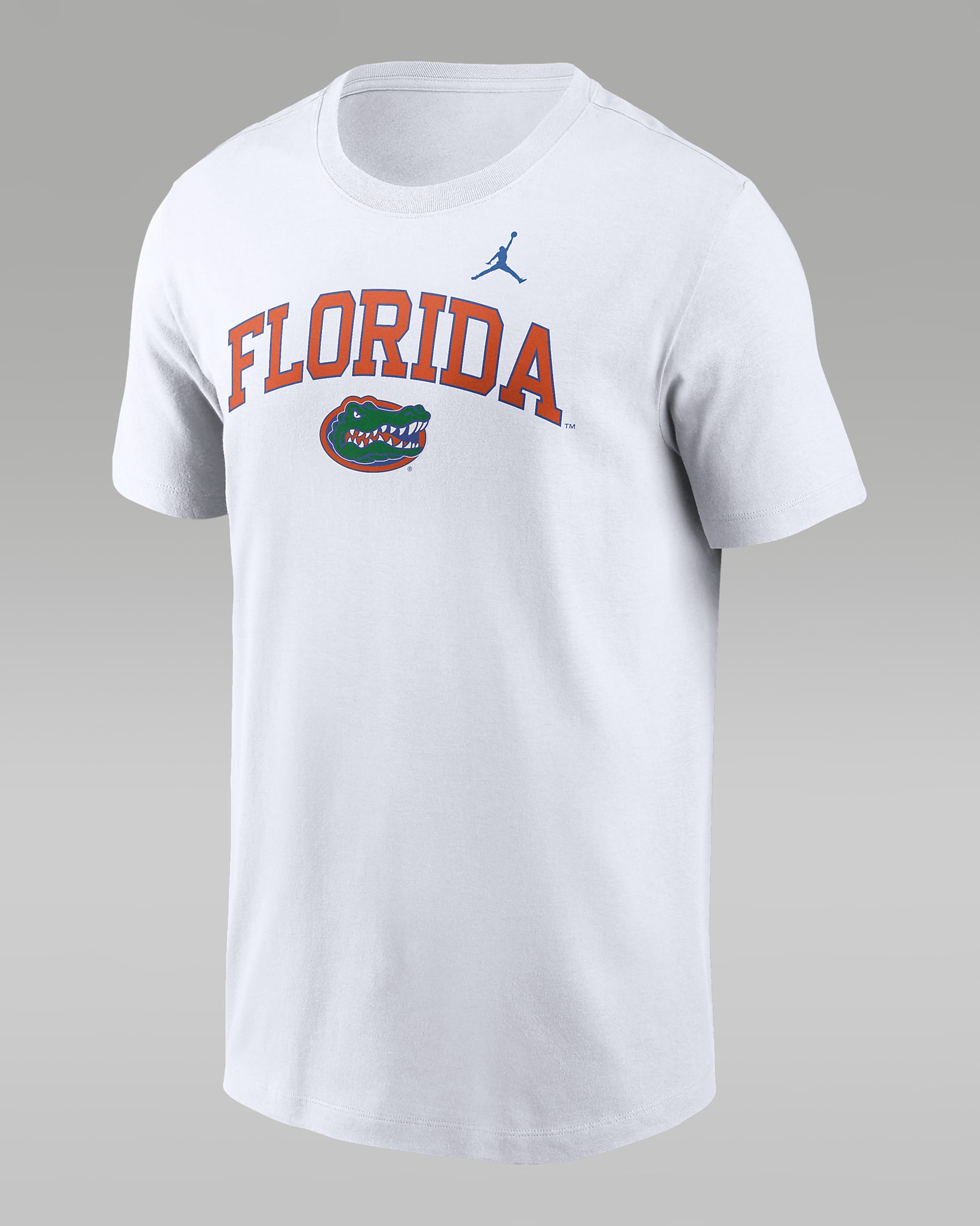 Men's Nike College T-Shirt Florida Gators Blitz. Nike.com