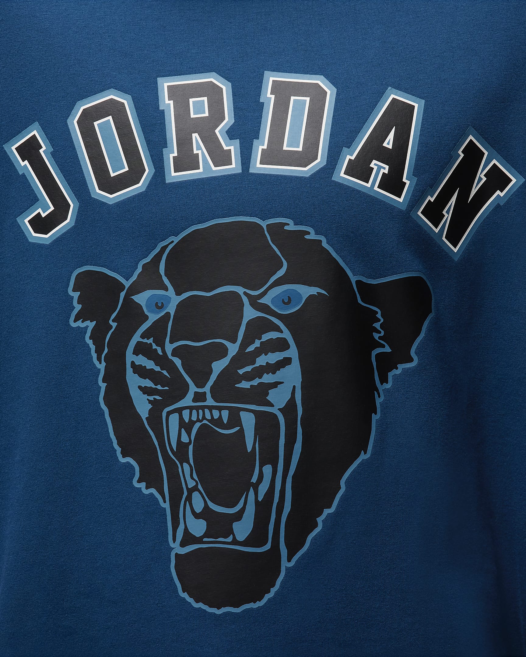 Jordan Women's Graphic Long-sleeve T-Shirt. Nike AU