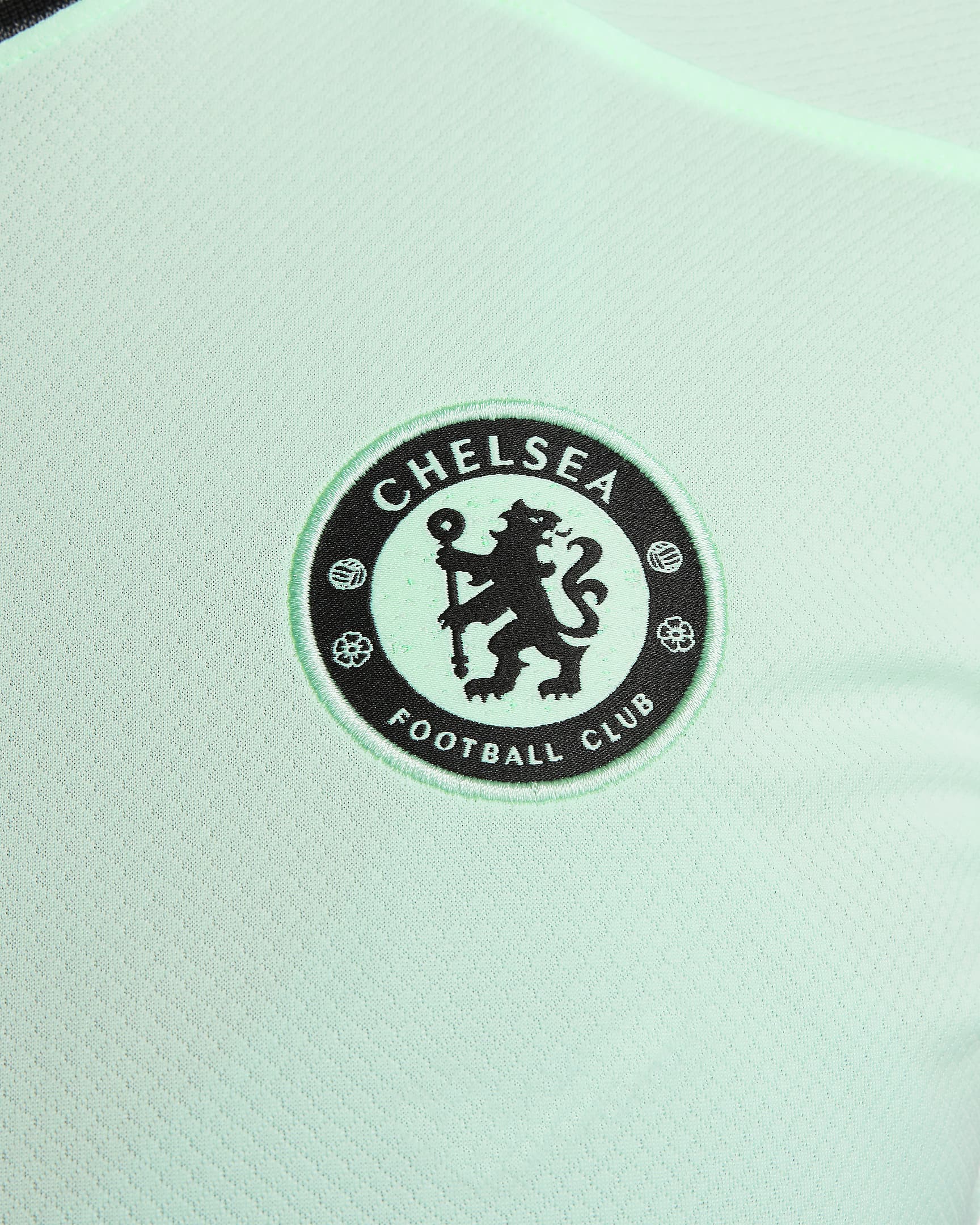 Chelsea F C 2023 24 Stadium Third Womens Nike Dri Fit Football Shirt