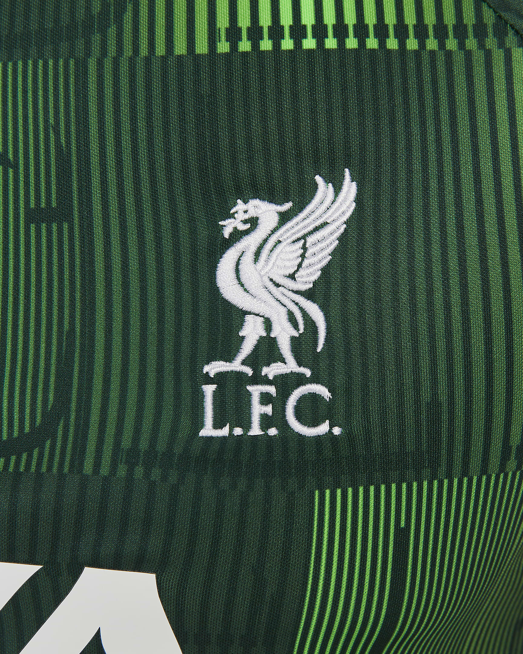 Liverpool FC Academy Pro Men's Nike Dri-FIT Pre-Match Soccer Top. Nike JP