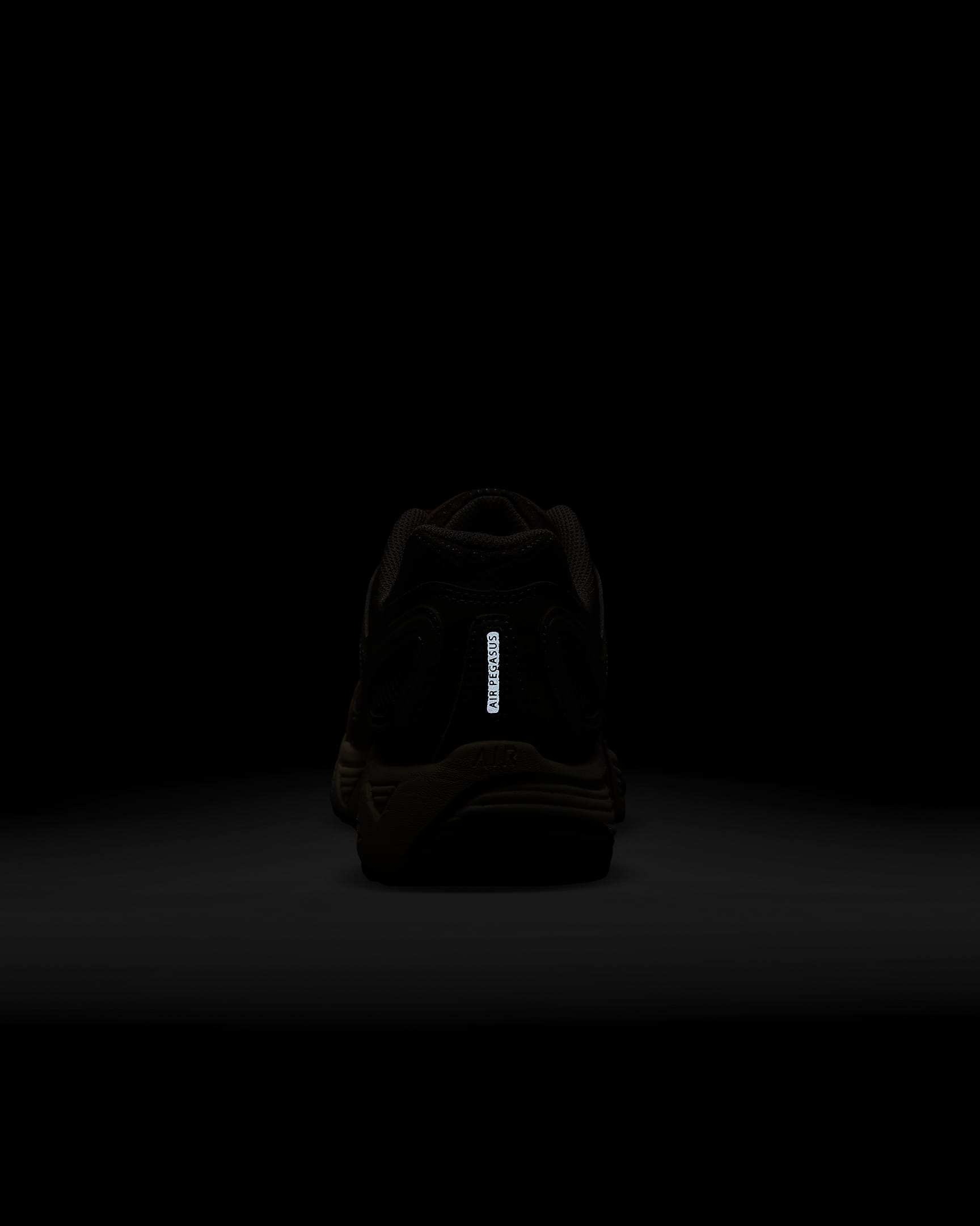 Nike Air Pegasus 2005 C.O.R. Schuh (Damen). Nike DE