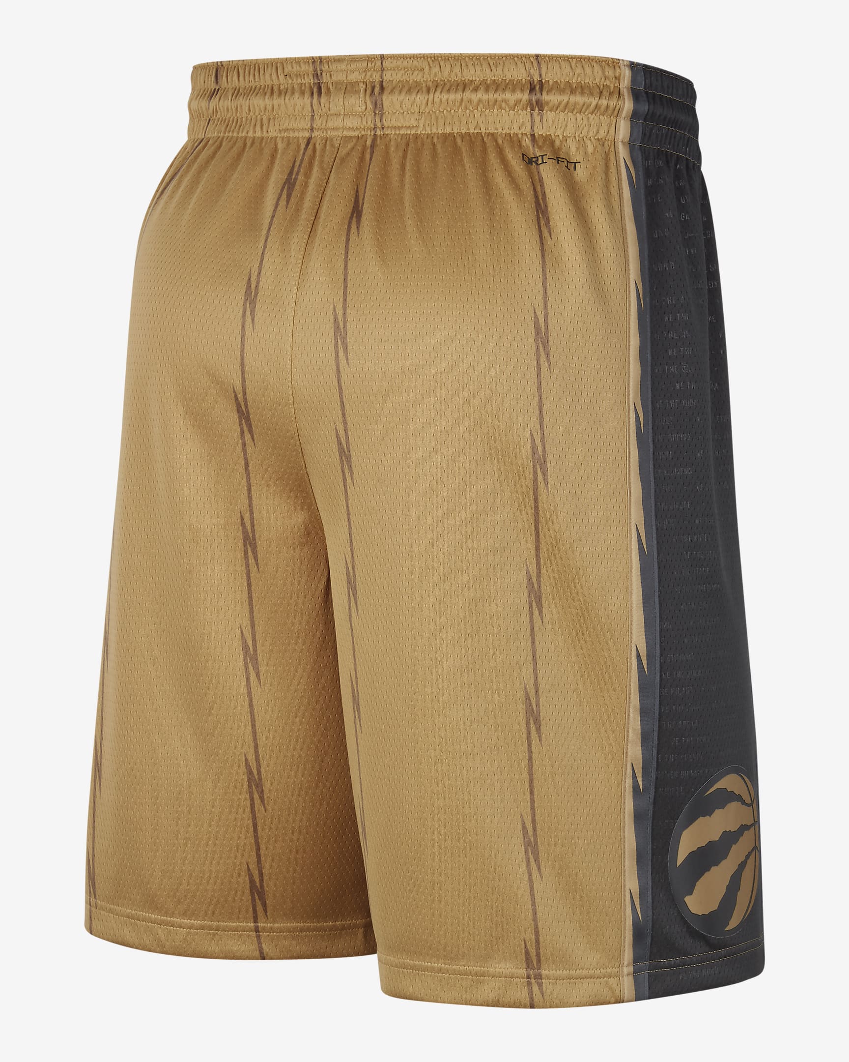 Short Nike Dri-FIT NBA Swingman Toronto Raptors 2023/24 City Edition ...