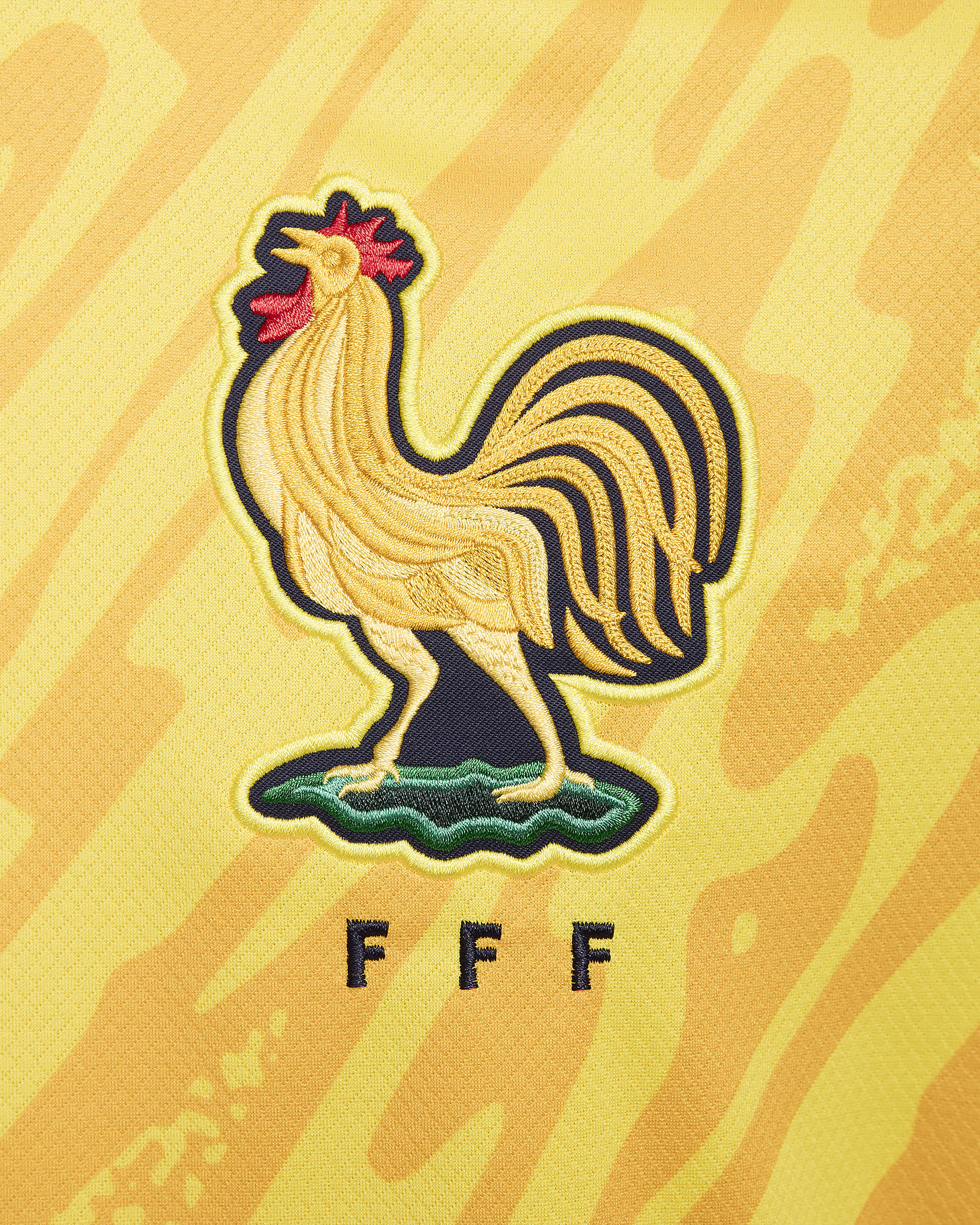 FFF (Women's Team) 2024/25 Stadium Goalkeeper Men's Nike Dri-FIT ...