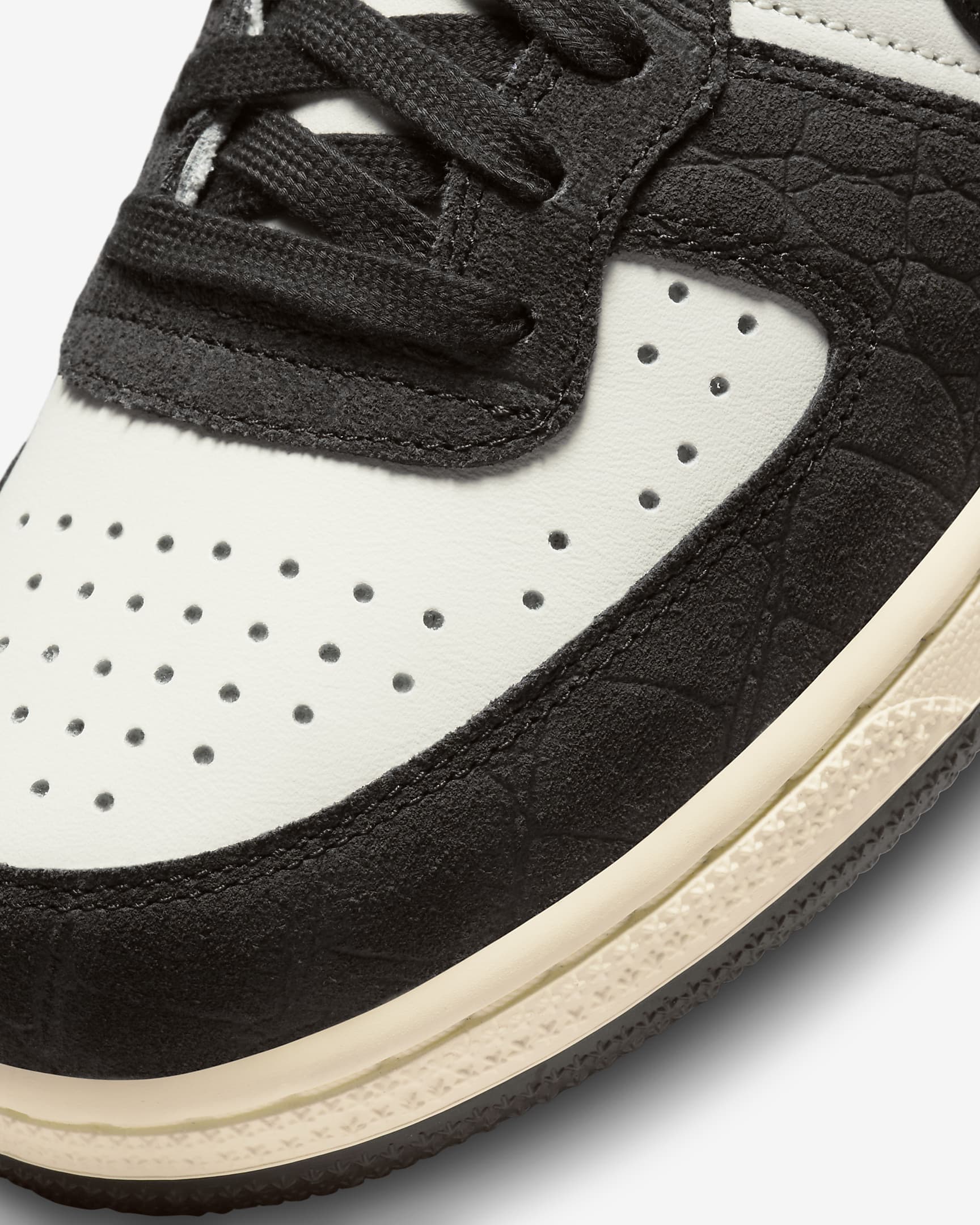 Chaussure Nike Terminator Low pour homme. Nike CA