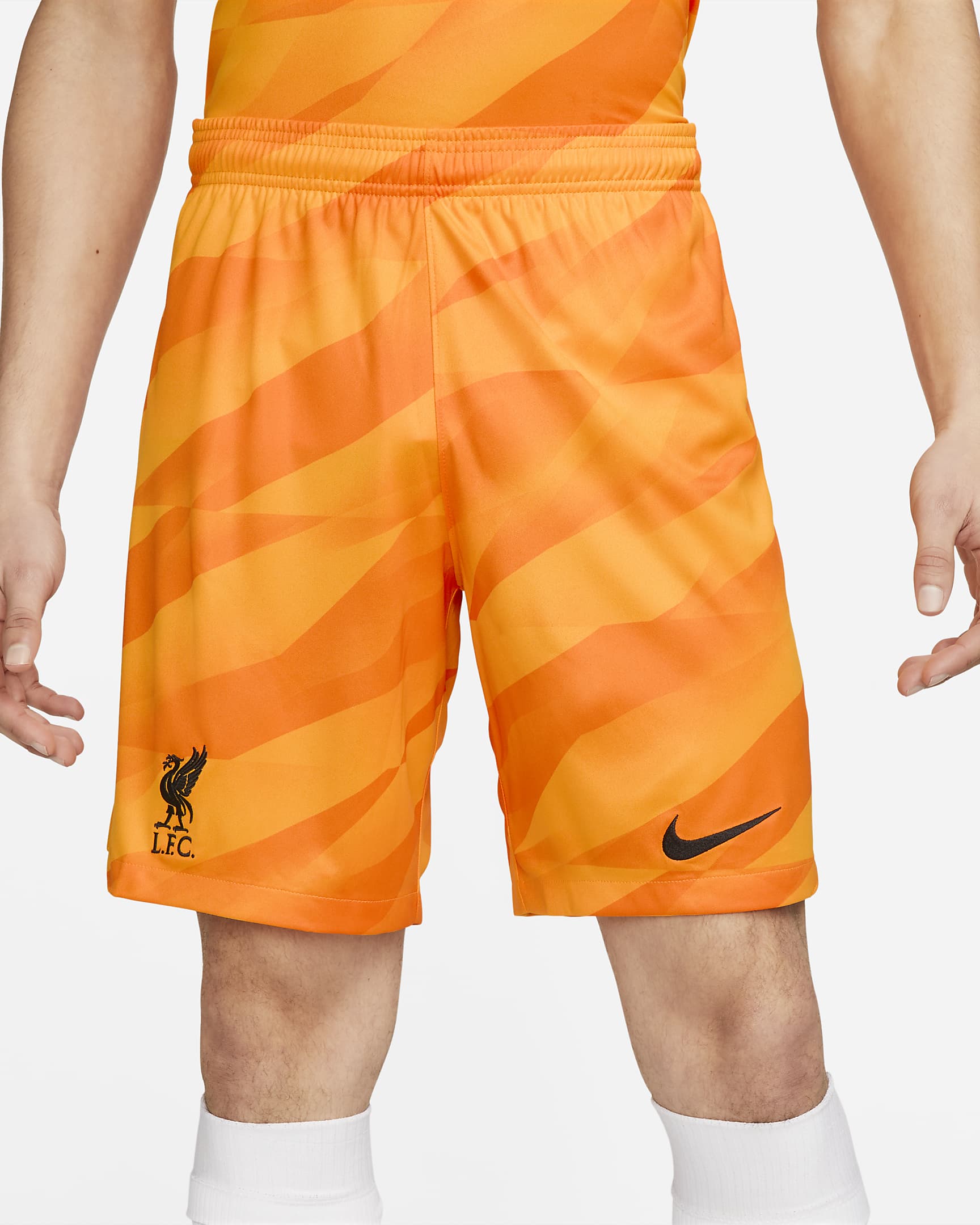 Liverpool F.C. 2023/24 Stadium Goalkeeper Men's Nike Dri-FIT Football ...