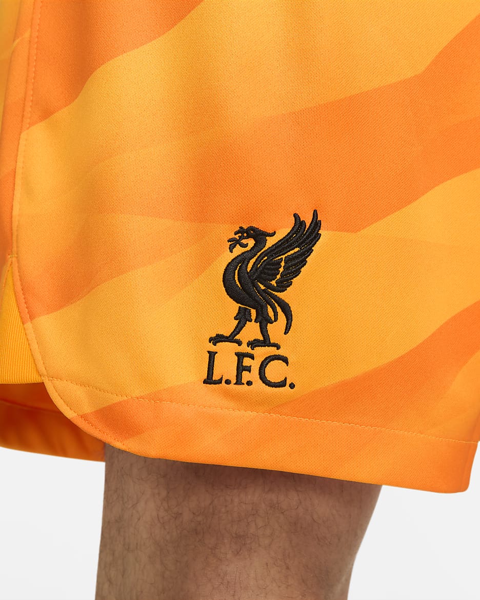 Liverpool F.C. 2023/24 Stadium Goalkeeper Men's Nike Dri-FIT Football ...