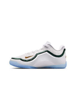 LeBron XXIII 'From This Point Forward' Older Kids' Basketball Shoes ...