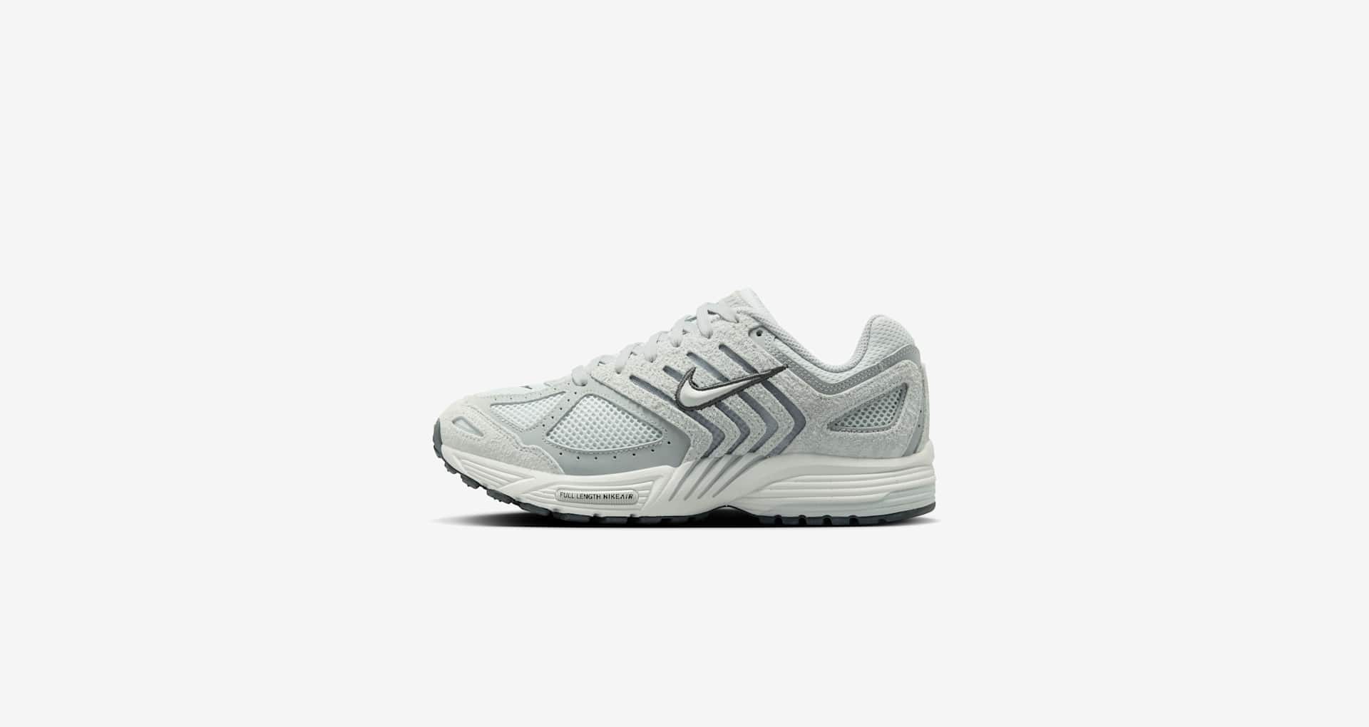 Women's Air Pegasus 2005 'Wolf Grey and Pure Platinum' (HJ5271-001 ...