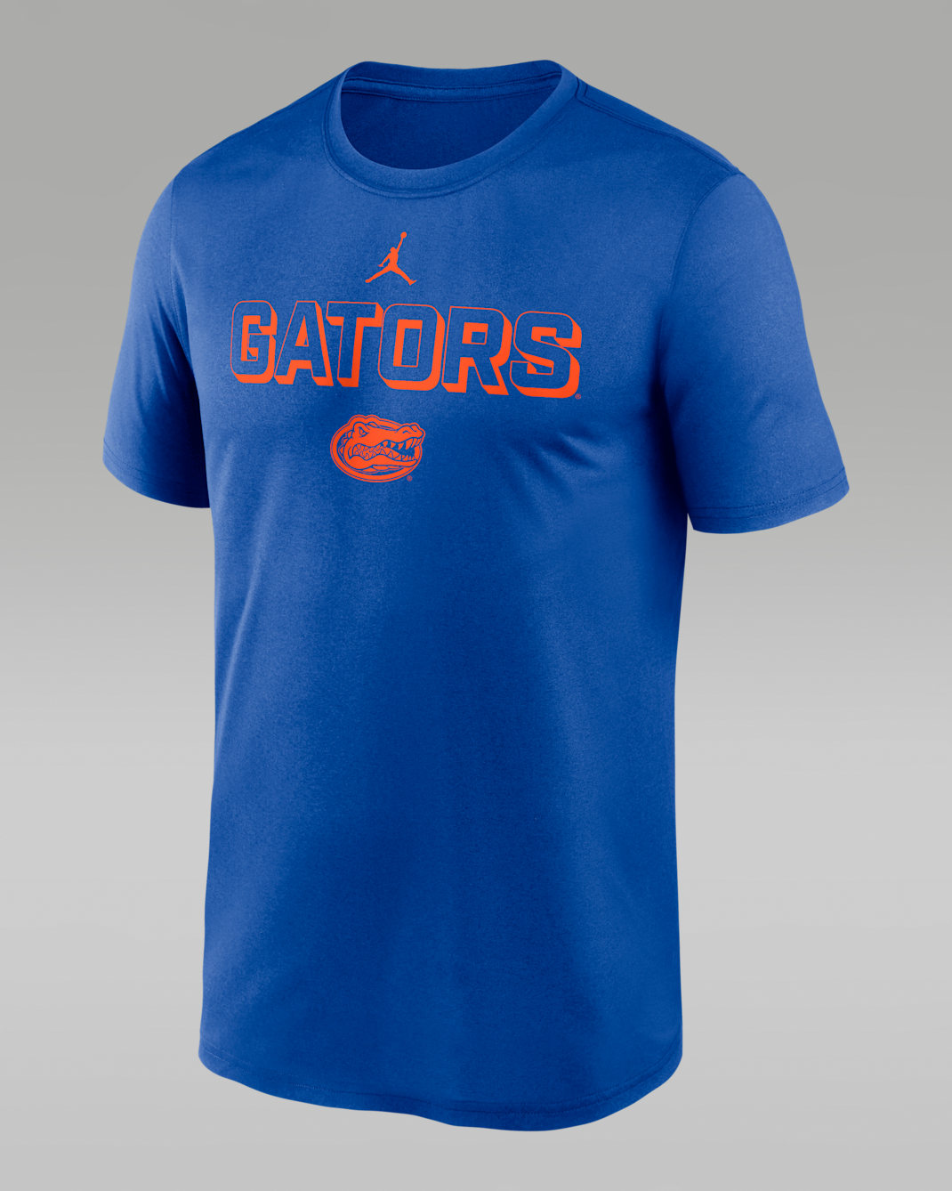 Florida Sideline Legend Men's Jordan Brand Dri-FIT College T-Shirt ...