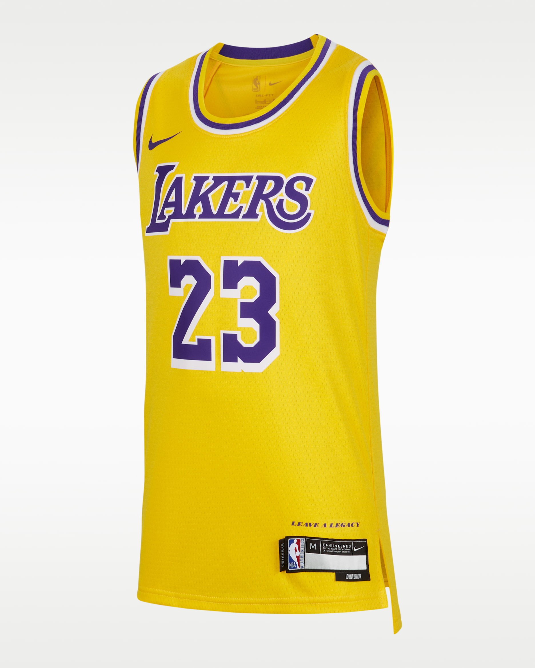 LeBron James Los Angeles Lakers 2023/24 Icon Edition Older Kids' (Boys ...