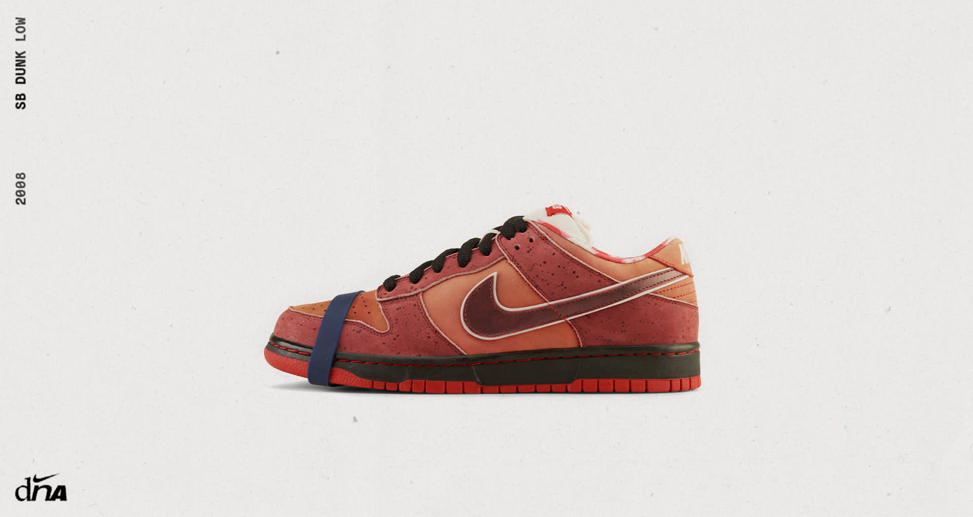 DNA Artifacts - Nike SB Dunk Low x Concepts ‘Red Lobster’. Nike SNKRS